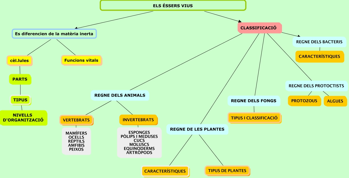 ÉSSERS VIUS - SISÈ PRIMÀRIA